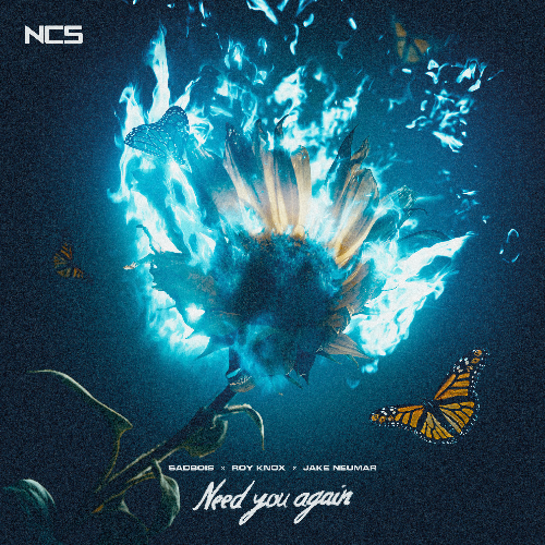 Stream SadBois, ROY KNOX - Need You Again (feat. Jake Neumar) by NCS ...