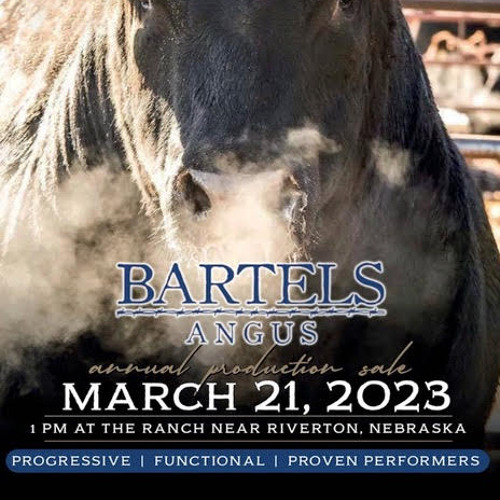 Stream The Herd Report - Bartels Angus Production Sale by Scott Beck ...