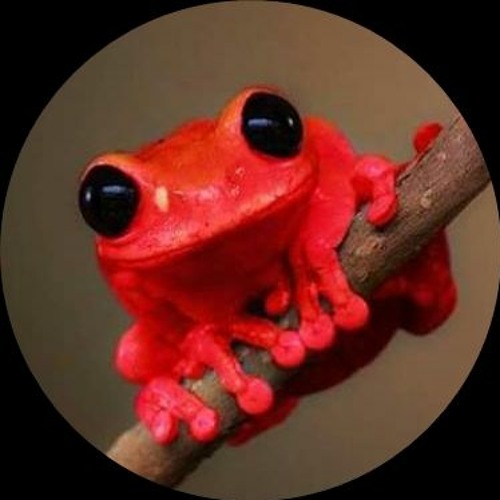 Stream Dj Kid Jungle (Red Frogs - Nancy) - Mix Drum (2008) by wada ...