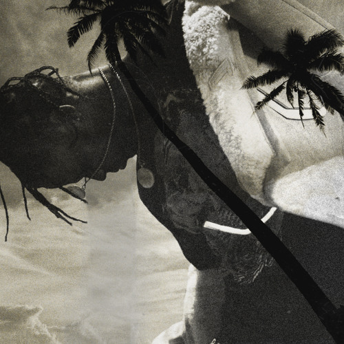 Stream Travis Scott - Palm Trees by Daoudthh | Listen online for free ...