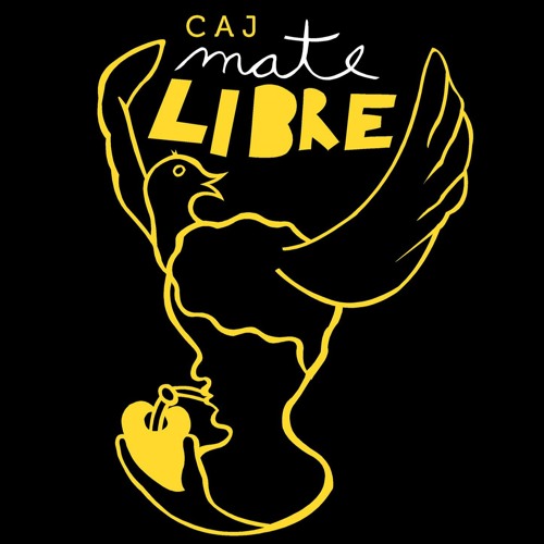 Stream FORRITO GONORREA by Radio Mate Libre | Listen online for free on SoundCloud