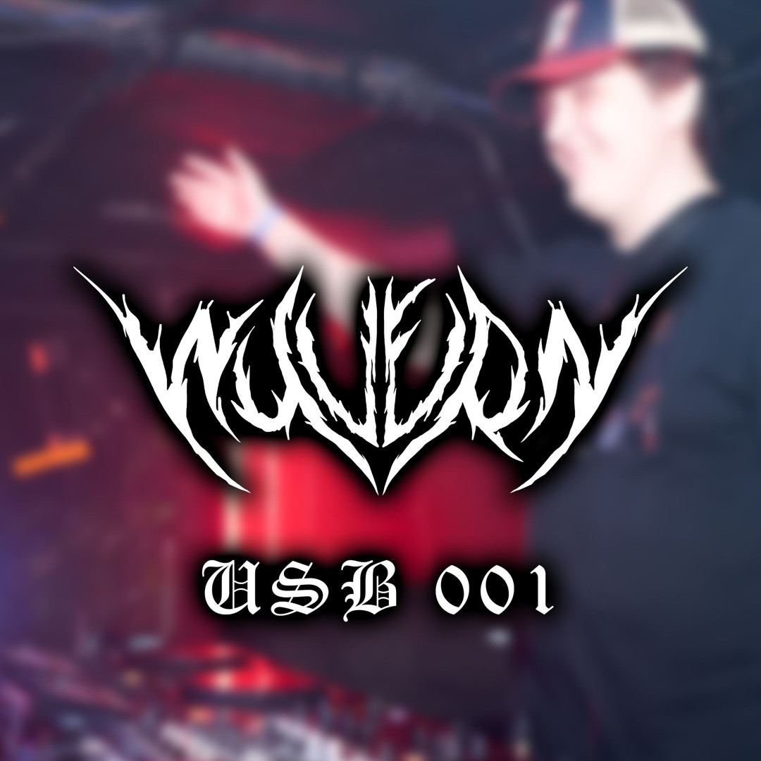 Stream WYVERN USB 001 // SHOWCASE by WYVERN | Listen online for free on ...