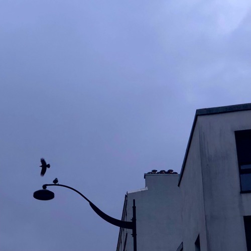 Stream Real Weirdo / Le bruit des larmes qui attendaient depuis ...