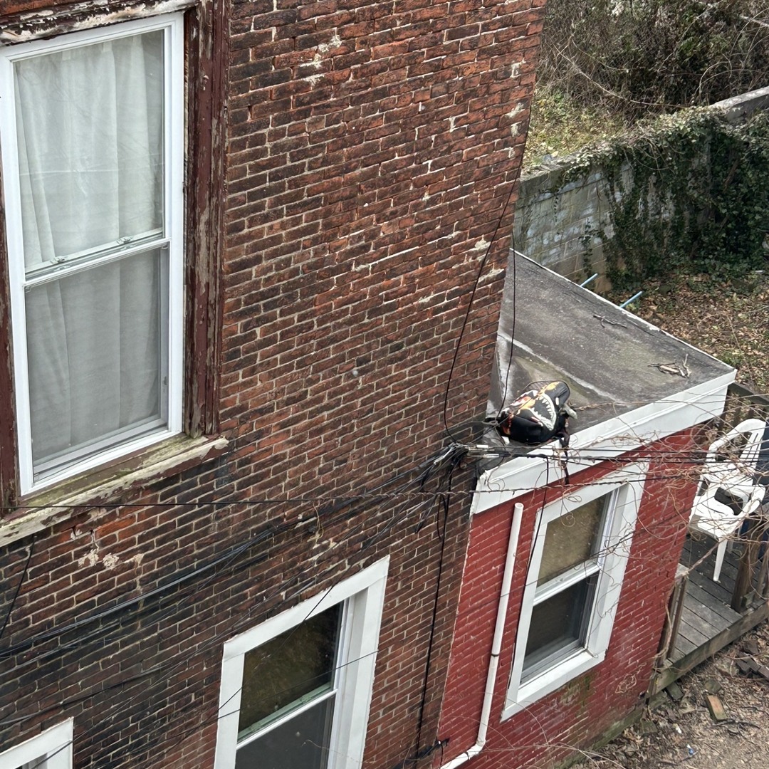 Stream Stumble God 🐬🐬 | Listen to Glass House playlist online for free ...