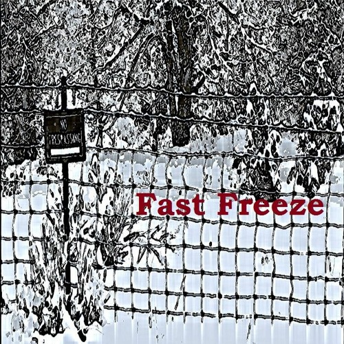 Stream Fast Freeze by Chocolate Shatner | Listen online for free on ...