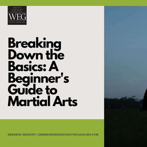 Stream Breaking Down The Basics A Beginner's Guide To Martial Arts by Wayne Emerson Gregory Jr ...