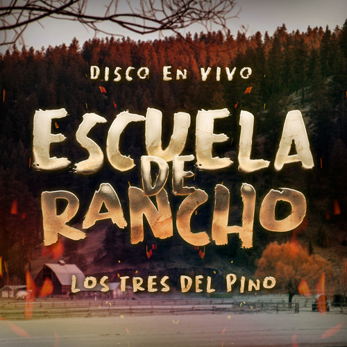 Stream Las Más Bonita de Todas (En Vivo) by Los 3 Del Pino | Listen ...
