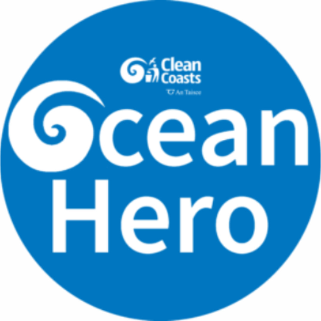 Stream Four Clare Groups Honoured At The 2025 Clean Coasts Ocean Hero ...