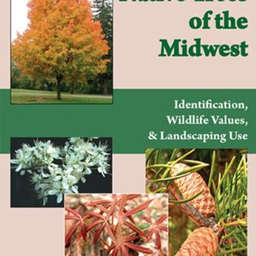 Stream +KINDLE#! Native Trees of the Midwest: Identification, Wildlife ...