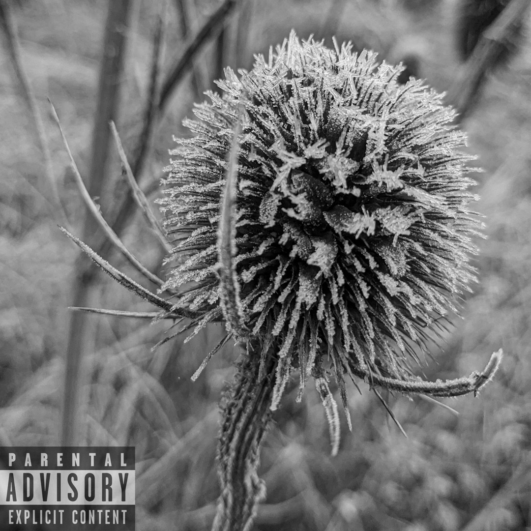 Stream Sheep Slayer by Natrixx | Listen online for free on SoundCloud