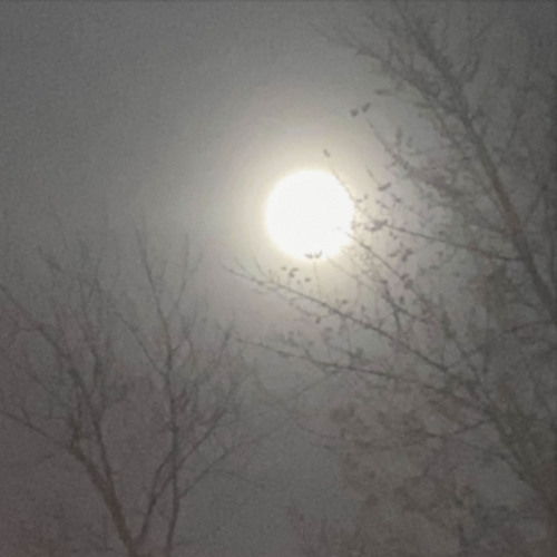 Stream GOODBYE by Lodoni | Listen online for free on SoundCloud