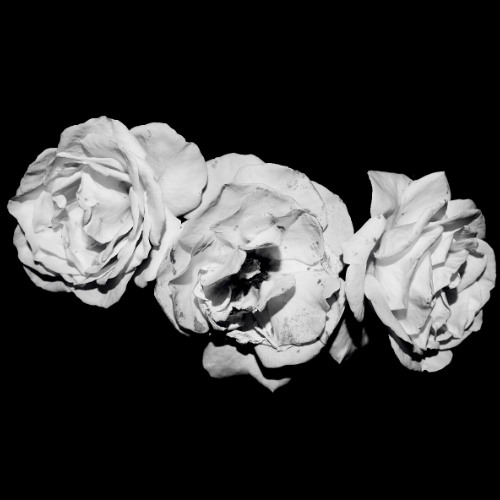 Stream Westside Gunn - Best Dressed Demons Ft Machhommy (TD Remix) by ...