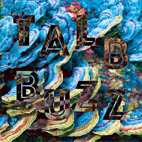 Stream Intro by Talb | Listen online for free on SoundCloud