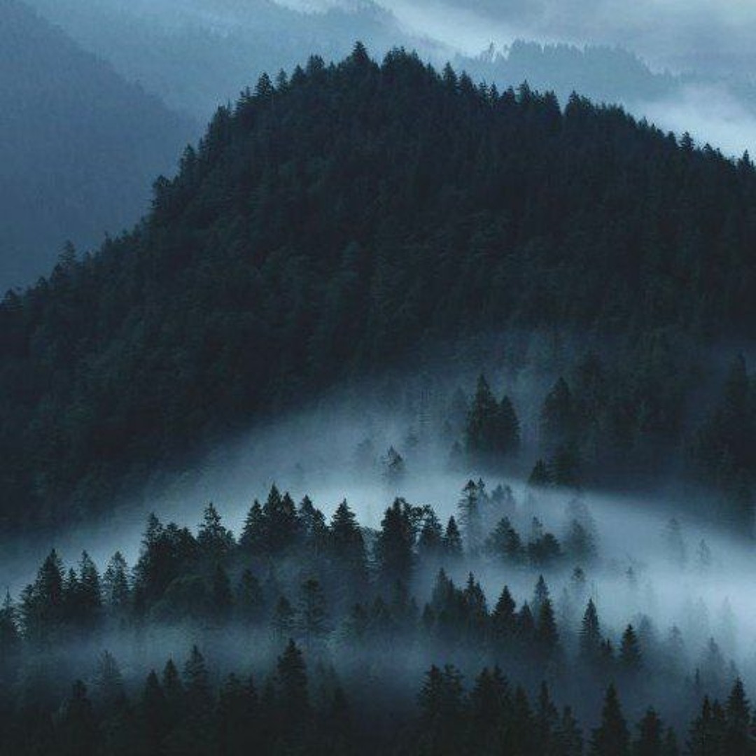 Stream My Dawg (with Ozee Kxng & K-TLE) by Young Draco | Listen online ...