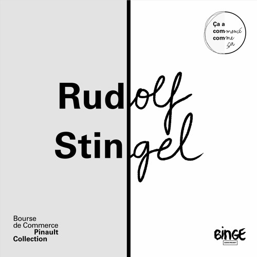 Stream Rudolf Stingel - Artiste, mode d’emploi by Binge Audio | Listen ...
