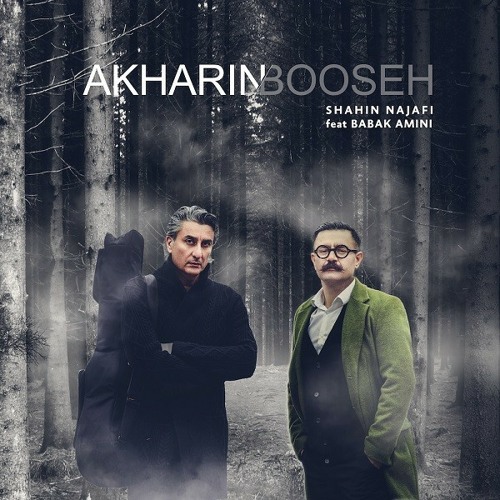 Stream Akharin Booseh (Ft Babak Amini) by Arian | Listen online for ...