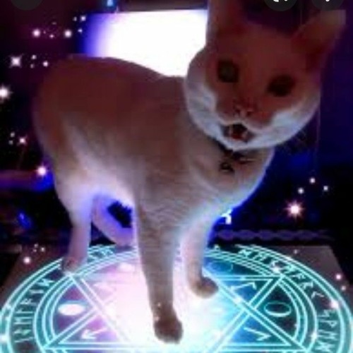 Stream The Cat Summoning Sigil by The Grateful Ned | Listen online for ...