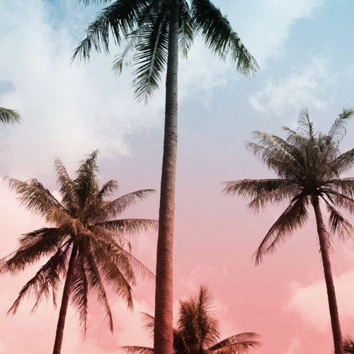 Stream K3NAI SPRING BREAK LOVER [ 2021 RMX ] by unknown | Listen online ...