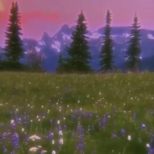 Stream Flume - Hyperreal (Hylite Remix)(NC Rework) by NC | Listen ...
