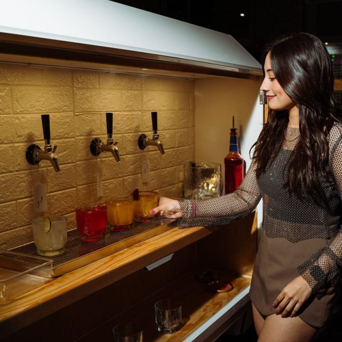 Stream Dono Rocco Mobile Bar by Don Rocco Mobile Bar | Listen online ...