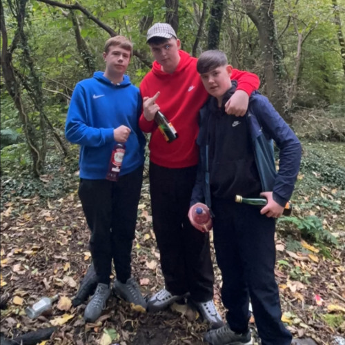 Stream Fantasies Dj Konik Remix By Bradlywhite64 Listen Online For