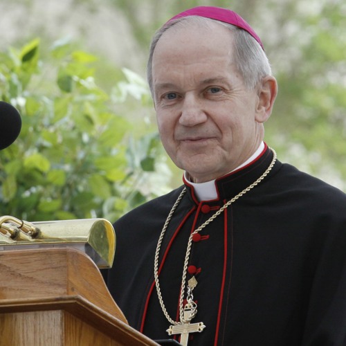 Stream Bishop Paprocki's 2021 Commencement Address by Thomas Aquinas ...