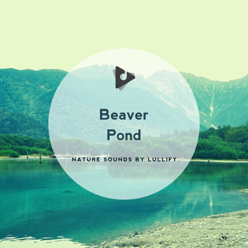 Stream Nature Sounds by Lullify | Listen to Beaver Pond playlist online ...