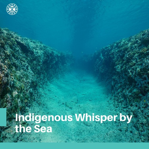 Stream Relax Shaman Music | Listen to Indigenous Whisper by the Sea ...