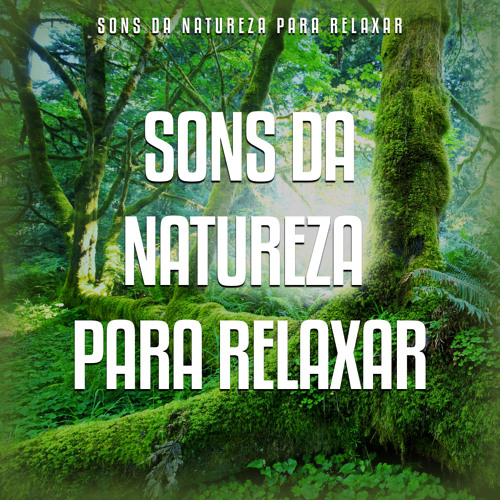 Stream Sons da Natureza | Listen to Sons da Natureza Para Relaxar ...
