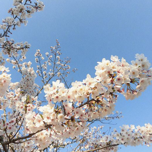 Stream good things come in phases by srysai | Listen online for free on ...