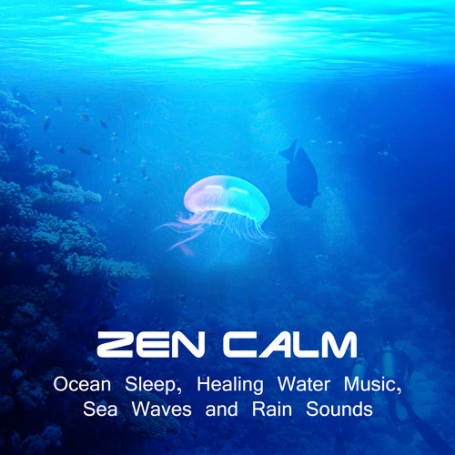 Stream Calm Ocean with Seagull Sounds by Calm Sea Ambient | Listen ...
