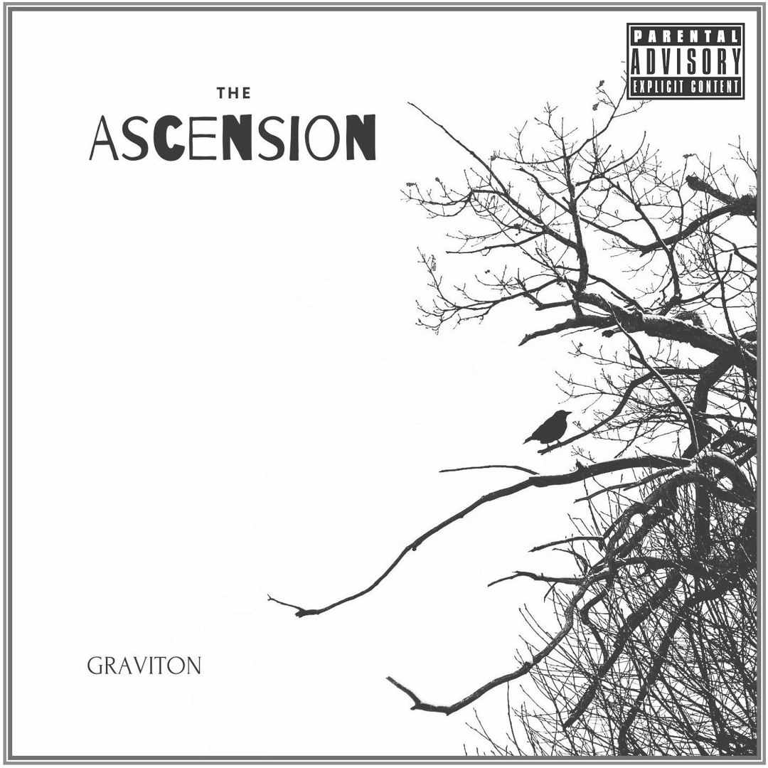 Stream King Of The NISER Rap Scene by Graviton | Listen online for free ...