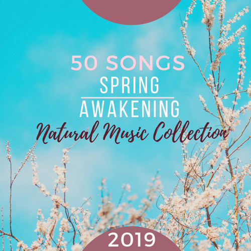 Stream Meditation Relax Club | Listen to 50 Songs for Spring Awakening ...