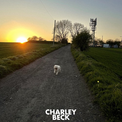 Stream Charley Beck | Listen to TOPLINE PORTFOLIO playlist online for ...