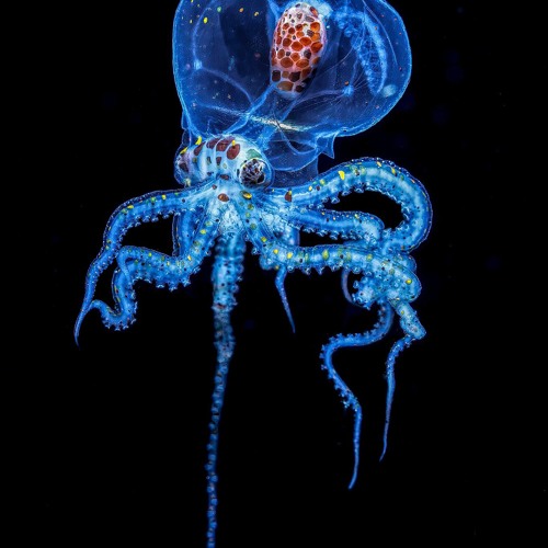 Stream BB - Timewarp by Aris George | Listen online for free on SoundCloud