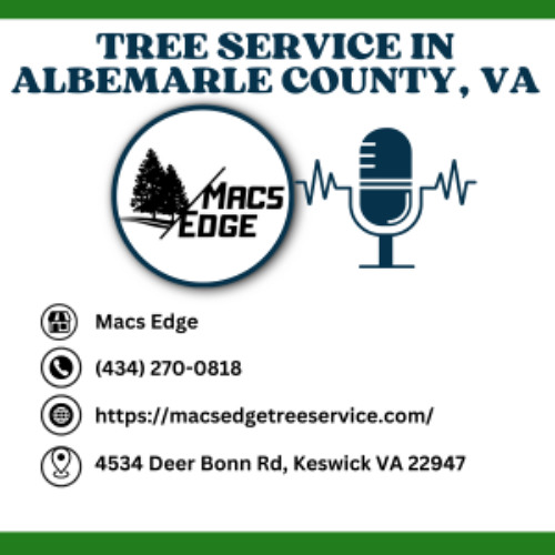 Stream how-can-you-save-money-on-tree-removal-services-in-lake ...