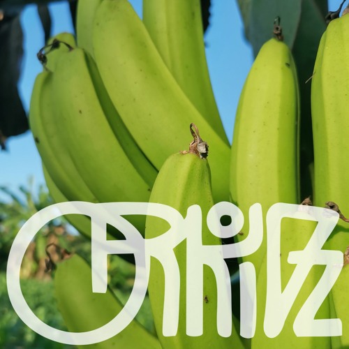 Stream Caravan (Tribute) - FREE DOWNLOAD by ORKIDZ | Listen online for free on SoundCloud