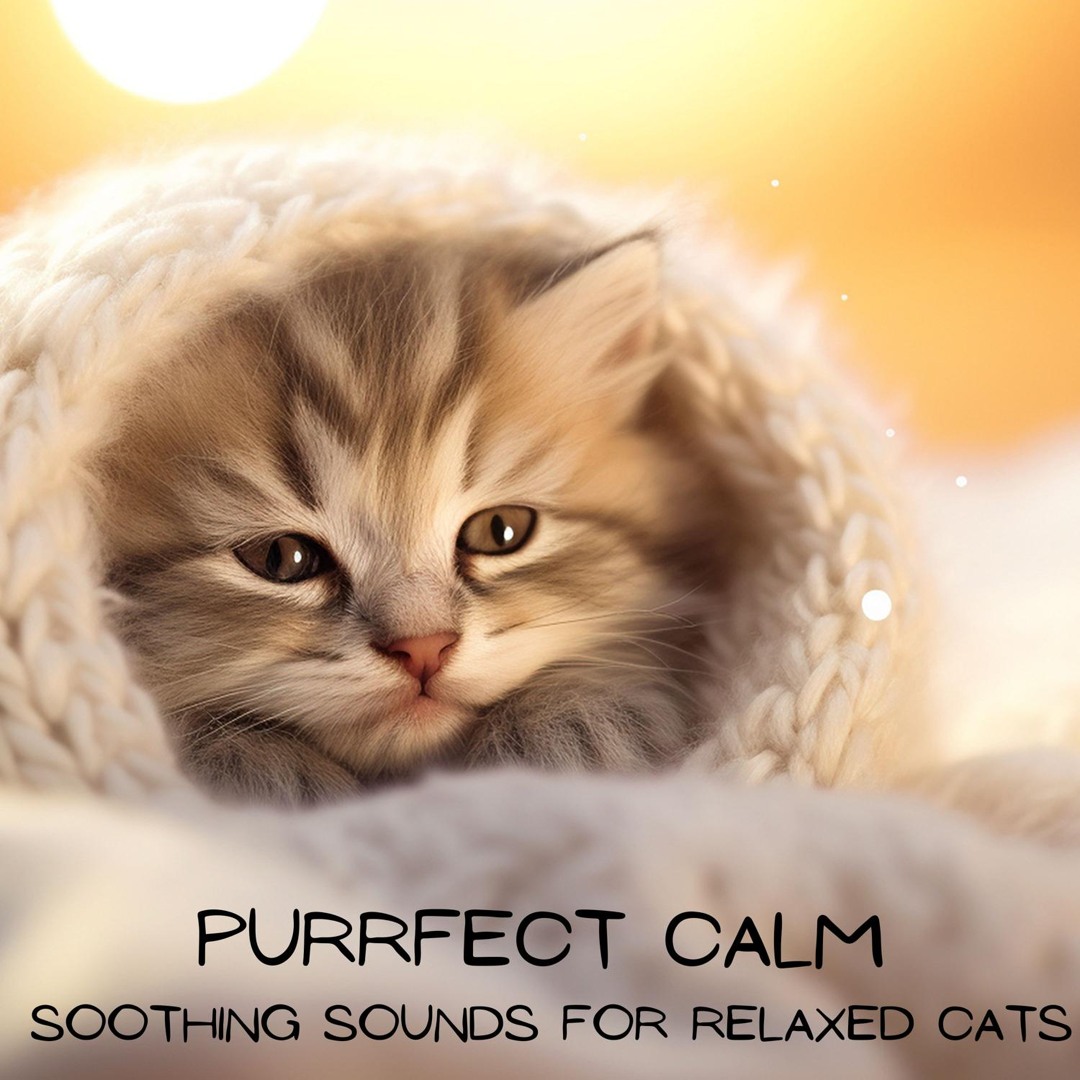 Stream Music for Cat | Listen to Purrfect Calm: Soothing Sounds for ...