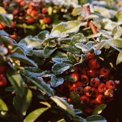 Stream Kádár Cubes by Markus Gaskin | Listen online for free on SoundCloud