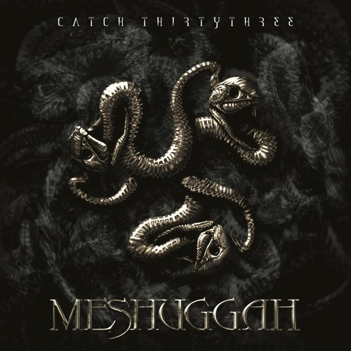 Stream Meshuggah | Listen to Catch Thirtythree playlist online for free ...