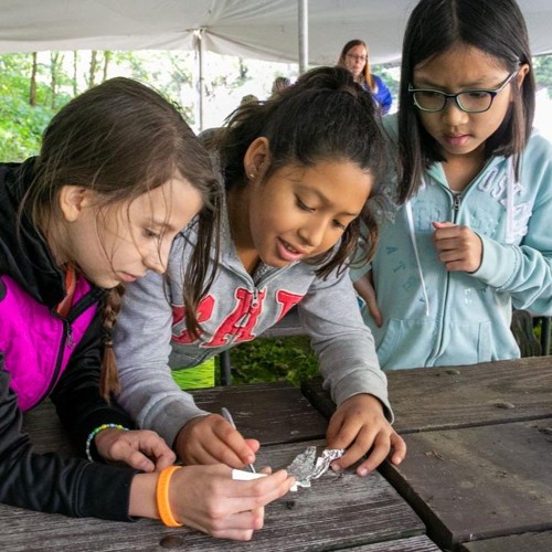 Stream episode Birders Update & Wild Back to School Resources by ...