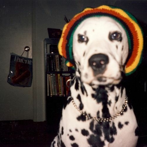 Stream Color Blind (Produced by Logan Bouchard) by Logano | Listen ...