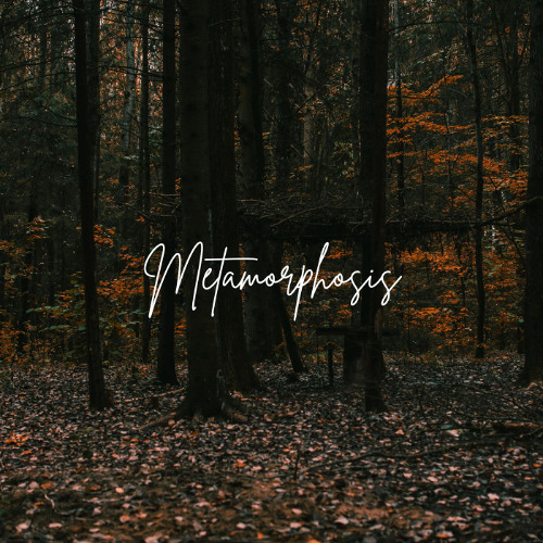 Stream Alto Music | Listen to Metamorphosis EP playlist online for free ...