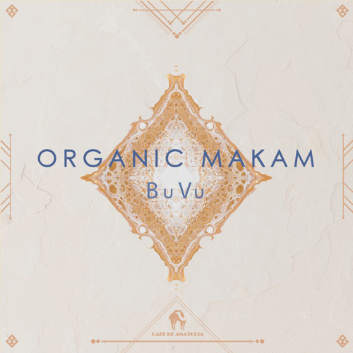 Stream BuVu - Awakening (A X L Remix) by A X L | Listen online for free ...