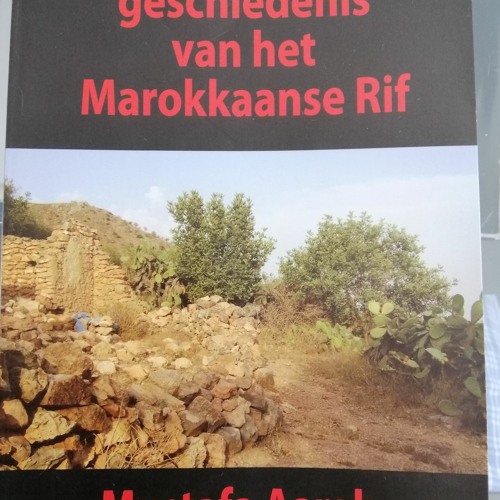 Stream episode Twiza Podcast XIX deel I, Mustafa Aarab spreekt over de ...