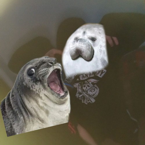 Stream real life freestyle 48 ultimatum by MC Tuleň + choroby | Listen ...