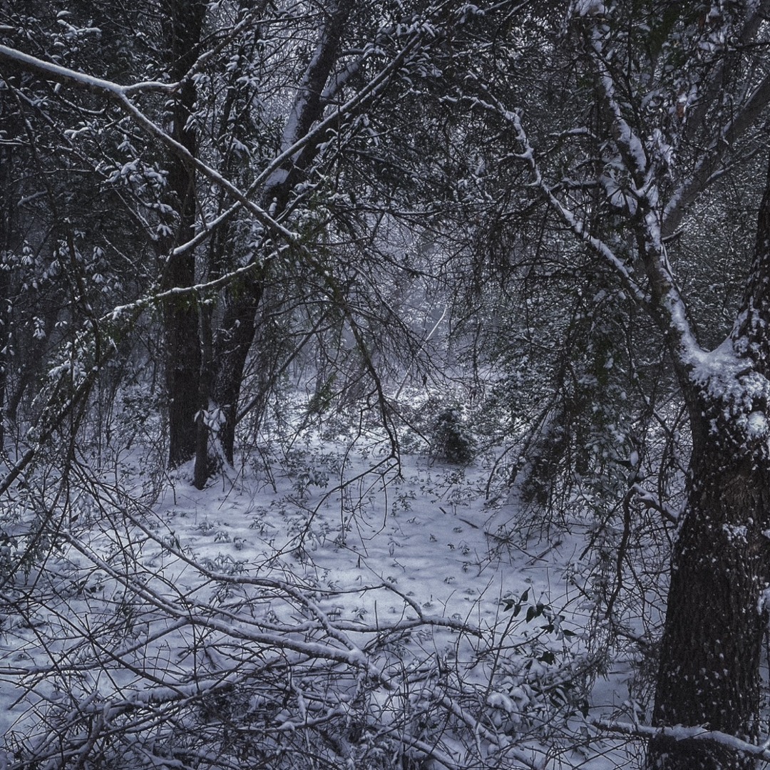 Stream step by step - fadinglight (slowed, pitched) by 𝙽𝚊𝚠𝚌𝚊𝚗𝚍𝚘 | Listen online for free on ...