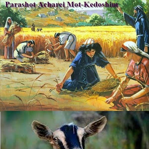 Stream Parashot Acharei Mot - Kedoshim 5783 - The Holy One Of Hashem ...