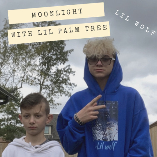 Stream Moonlight [original sound] (with Lil Palm Tree) by Lil Wolf ...