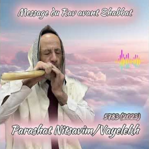 Stream Paracha Nitsavim - Vayelekh 2023 - Message du Rav avant Shabbat by Rav David Touitou ...